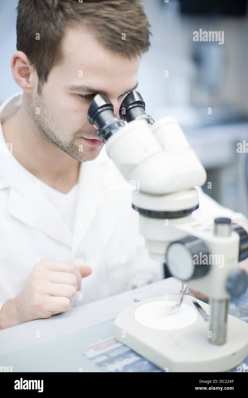 Dental technician looking through microscope at false tooth Stock Photo ...
