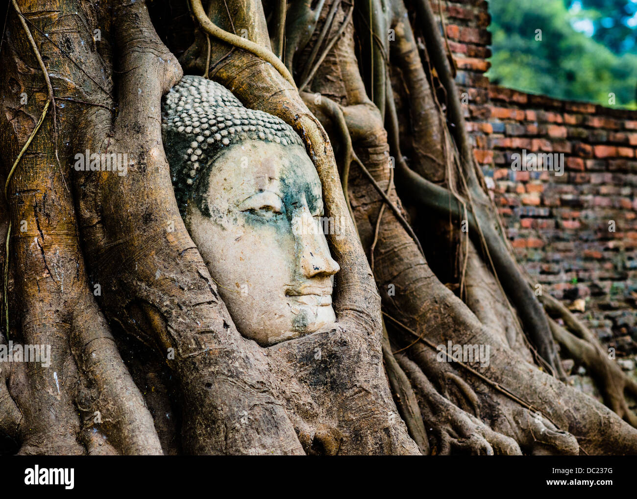 Ayutthaya buddha hi-res stock photography and images - Alamy