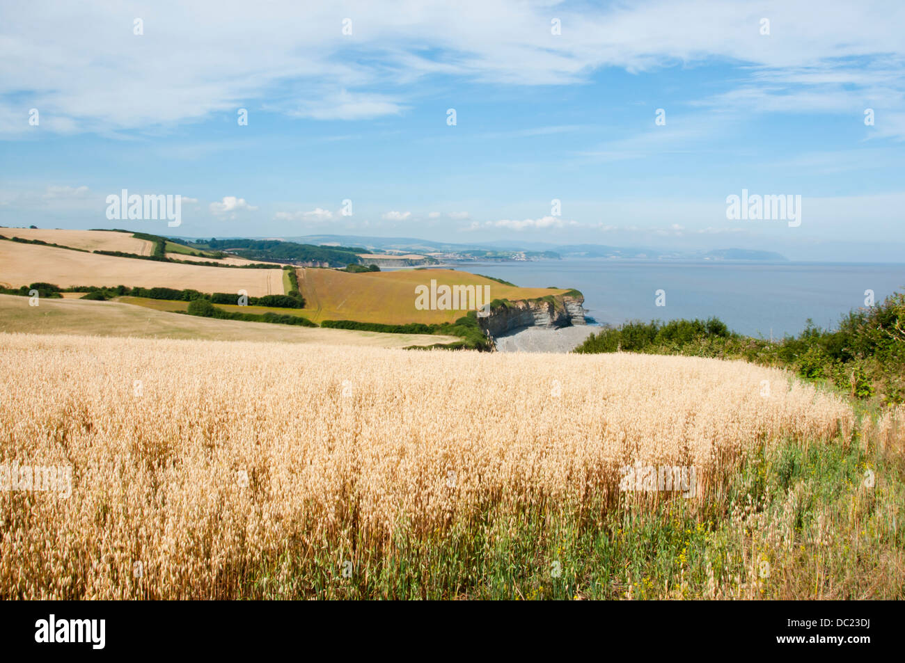 Blue anchor somerset hi-res stock photography and images - Alamy