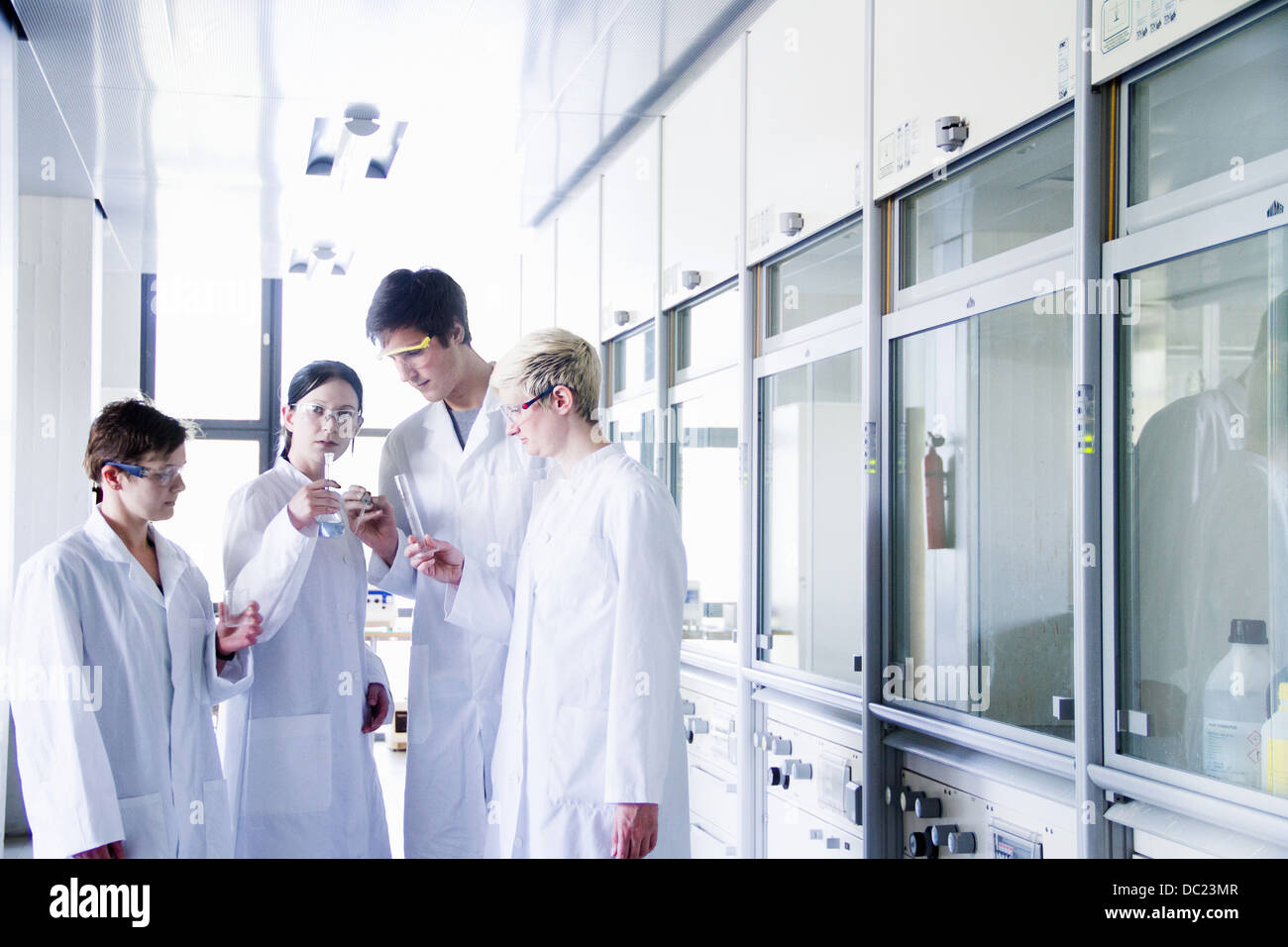 Chemistry students looking at chemicals in laboratory Stock Photo - Alamy