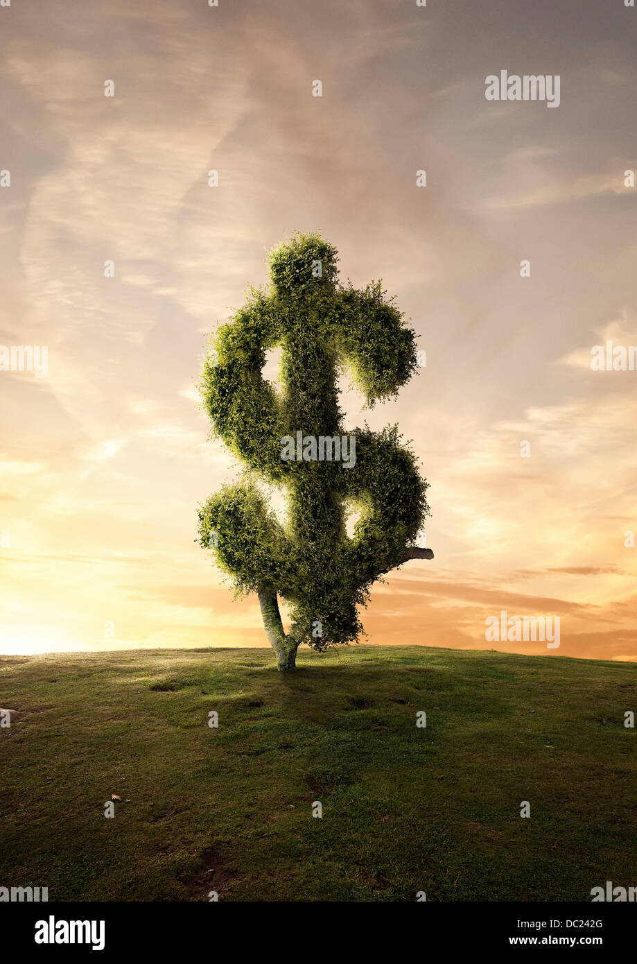 American topiary hi-res stock photography and images - Alamy