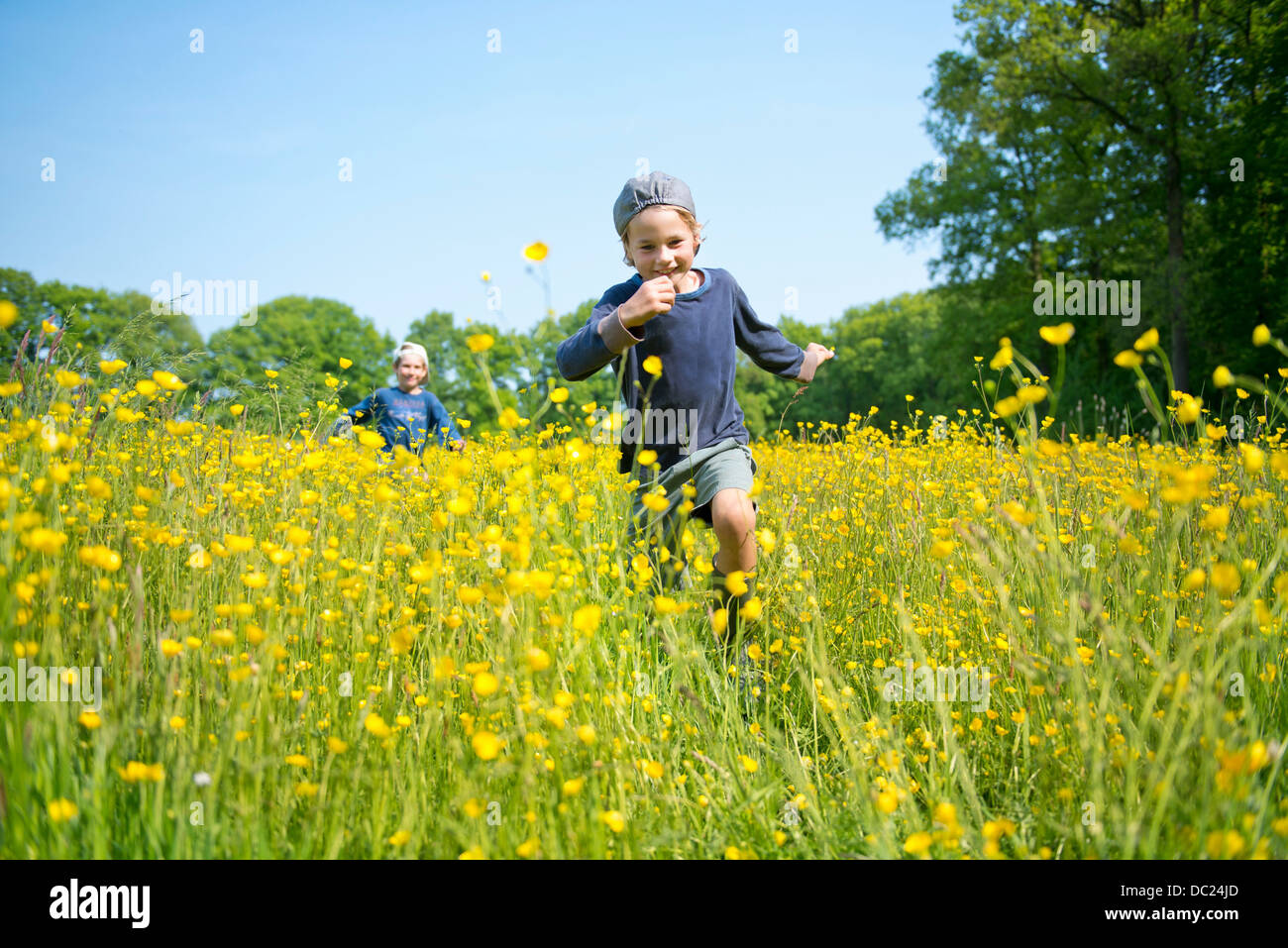 Looking through grass hi-res stock photography and images - Alamy