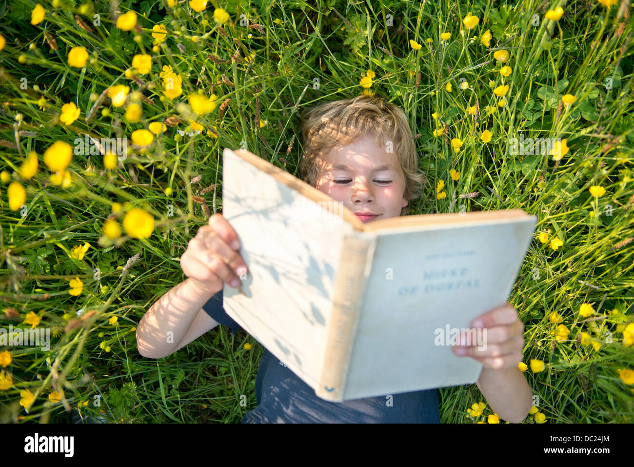Boy lying on grass reading book Stock Photo - Alamy