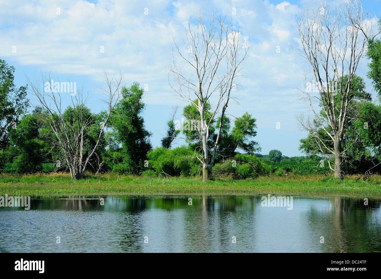 Marshland landscape hi-res stock photography and images - Alamy