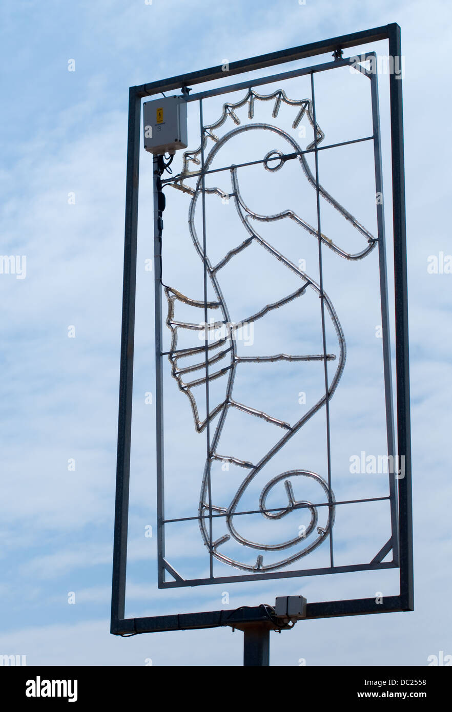 Seahorse light lights illumination hi-res stock photography and images ...