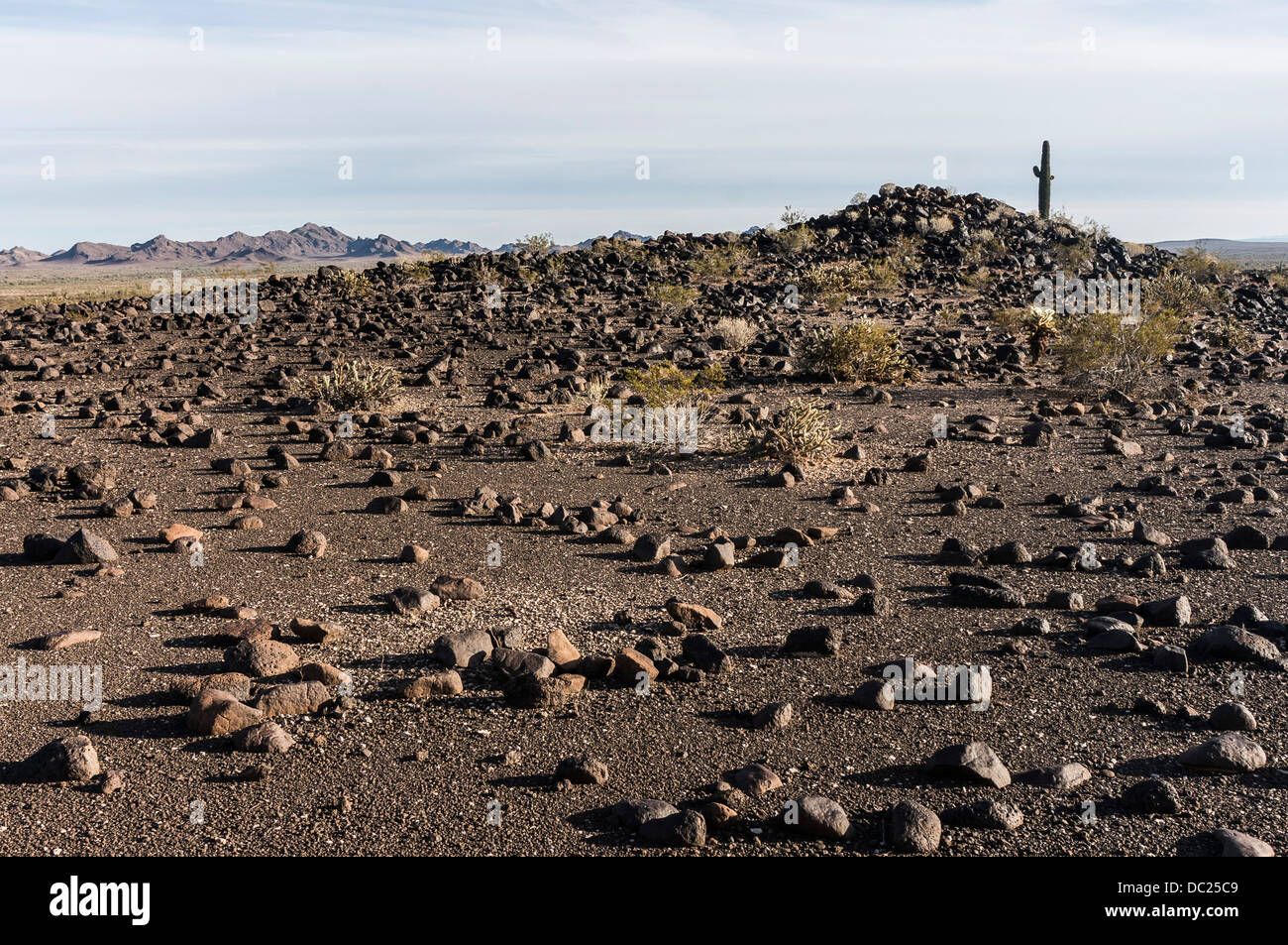 Volcanic rock mound in the desert near Painted Rocks, Arizona Stock ...