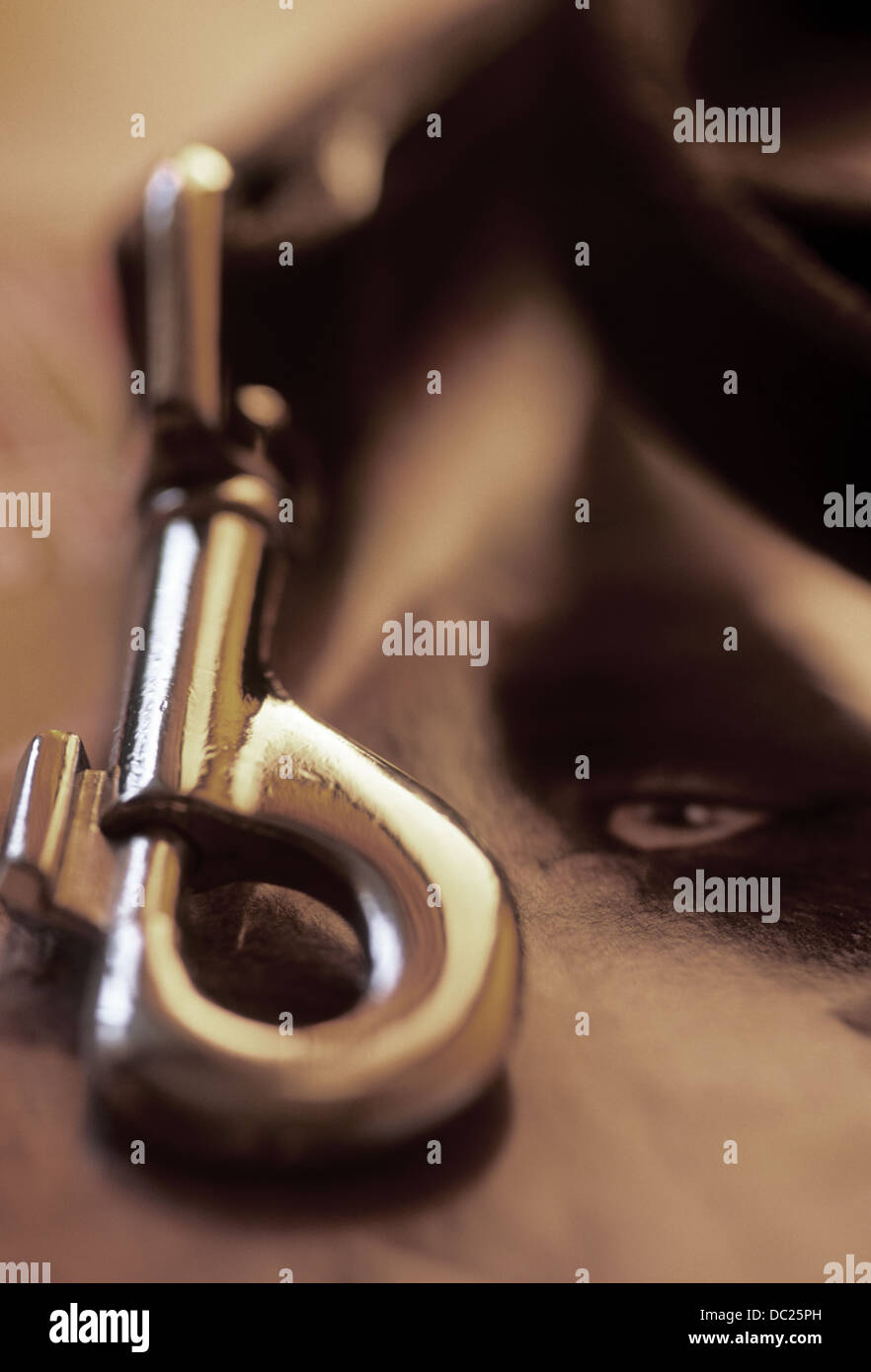 Moody still life close up image of the clasp on a dog lead with the ...