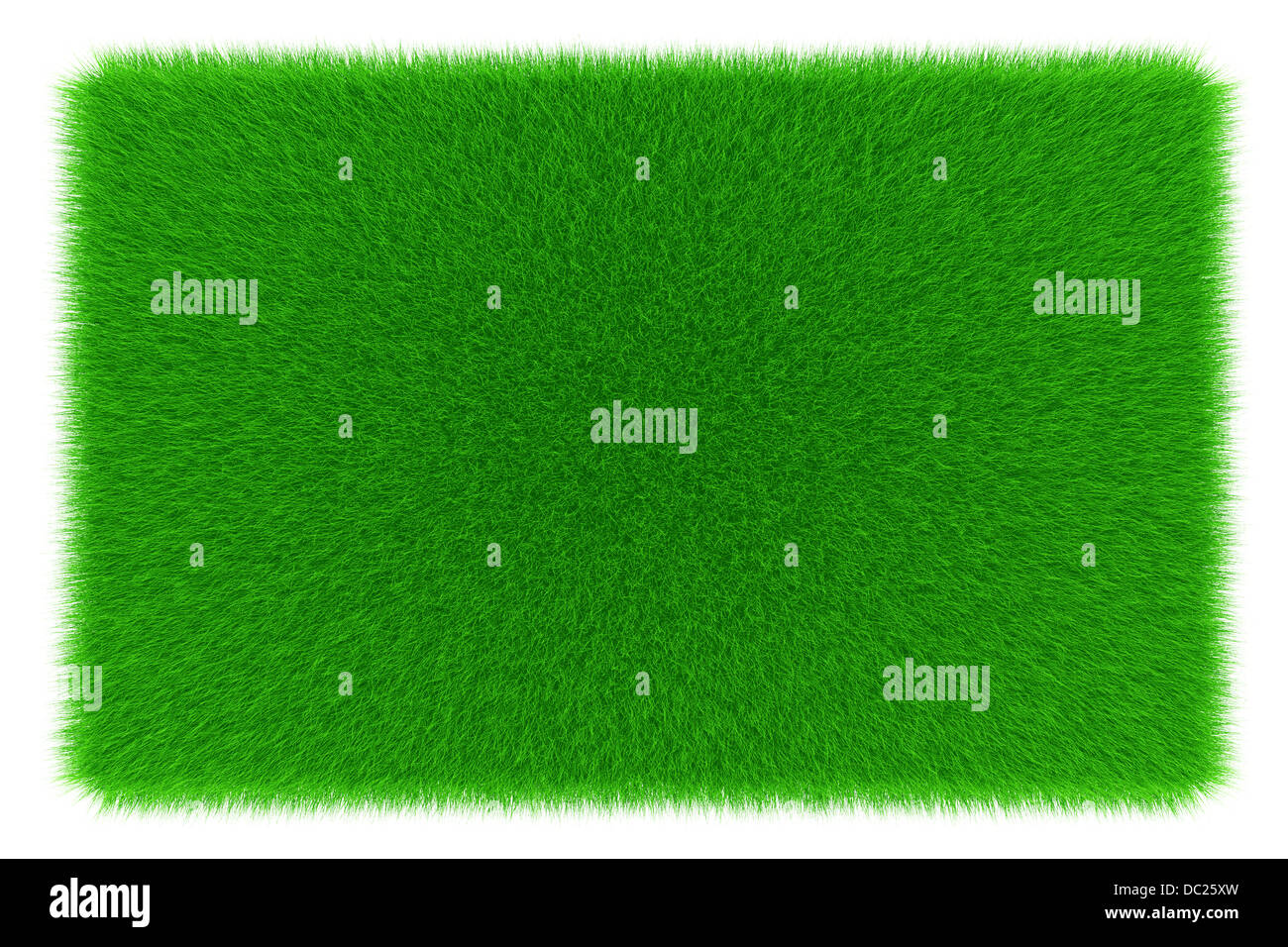 A square green background of growing grass. 3d illustration Stock Photo ...