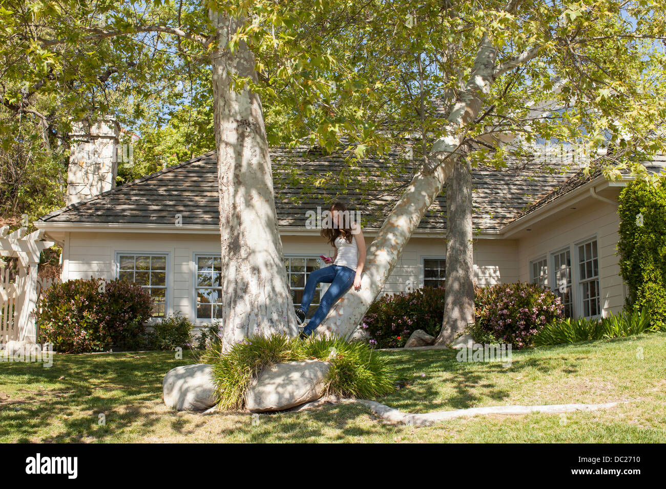 Girl sitting in tree hi-res stock photography and images - Alamy
