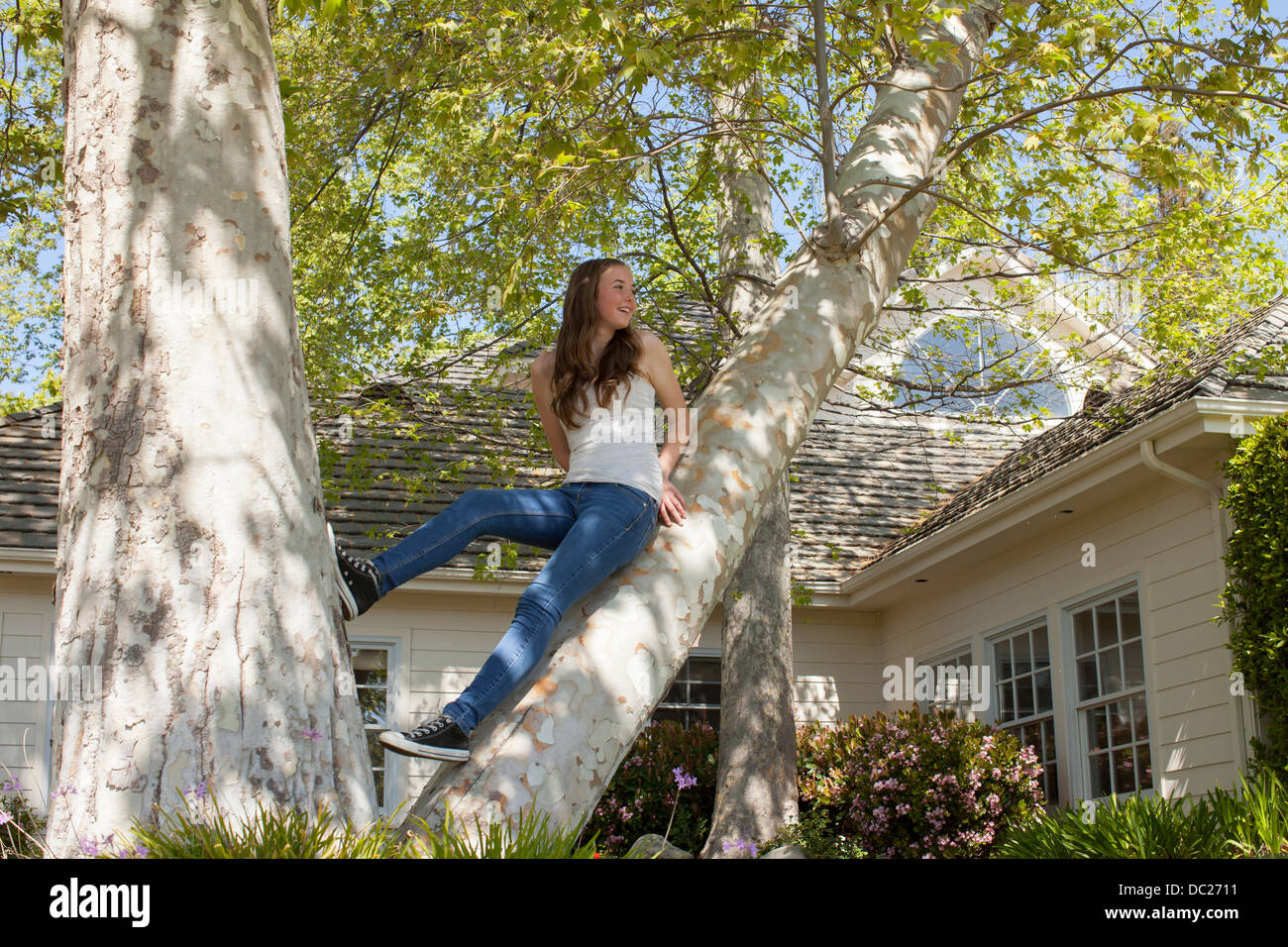 Teenage girl sitting in tree Stock Photo - Alamy