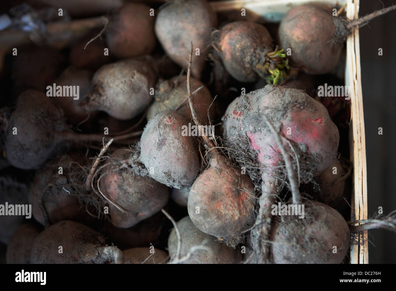 Organic root vegetables Stock Photo - Alamy
