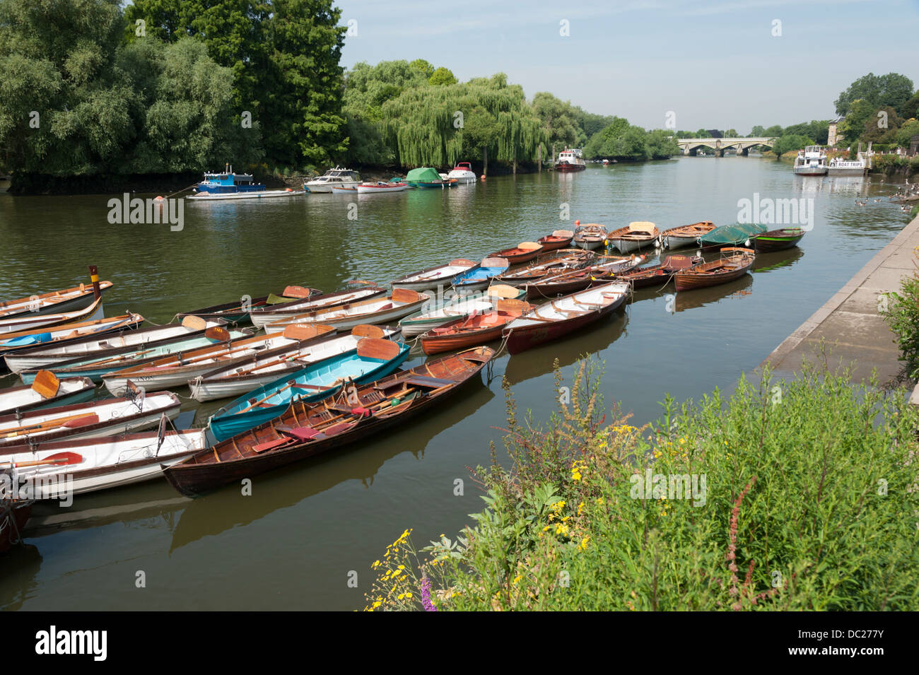 Wooden rowing boats moored on the River Thames at Richmond upon Thames ...