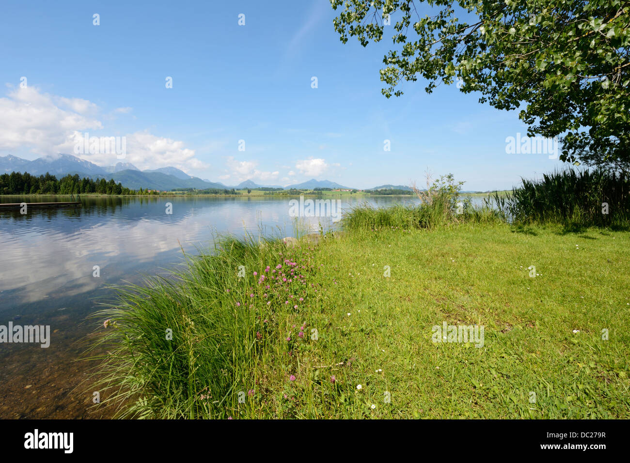 Lake Hopfensee in the Allgaeu (Bavaria, Germany Stock Photo - Alamy
