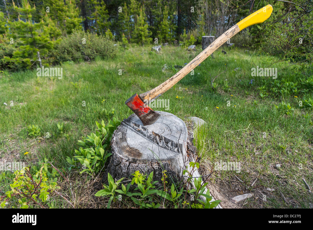 Worn red axe stuck in an old log Stock Photo - Alamy