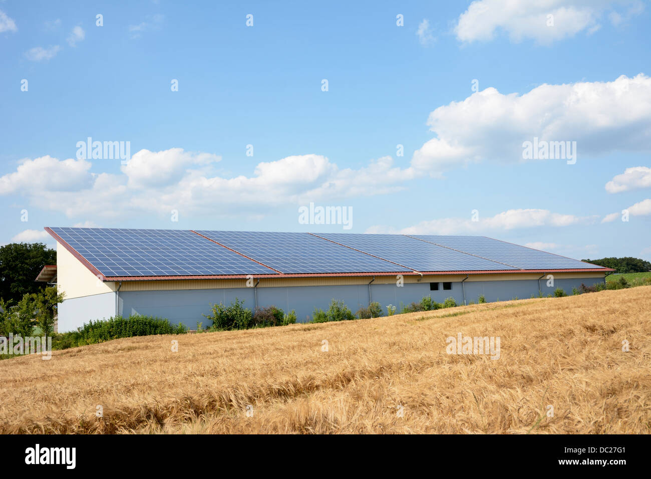 The wheat barn roof hi-res stock photography and images - Alamy