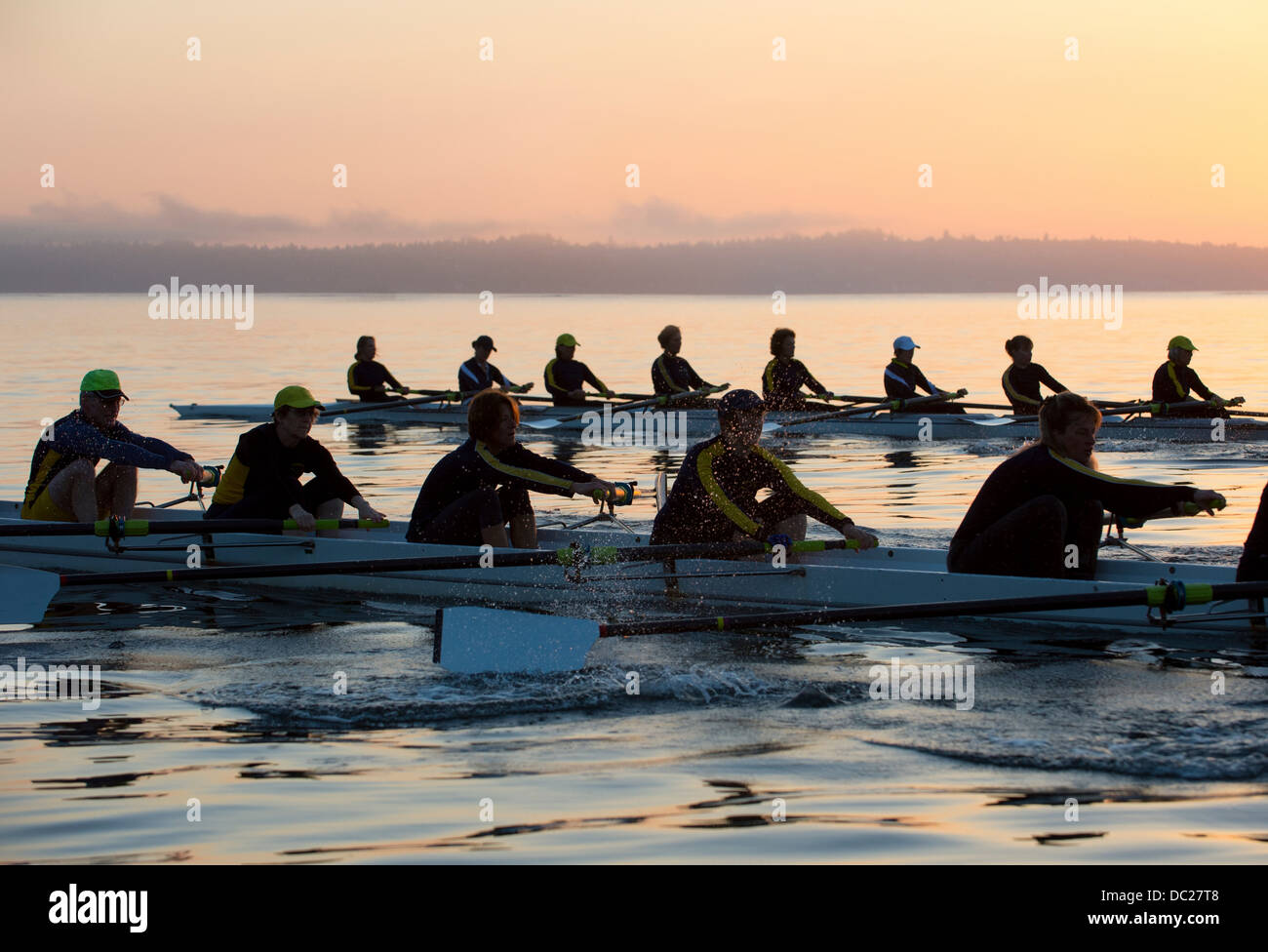 Fourteen people rowing at sunset Stock Photo - Alamy