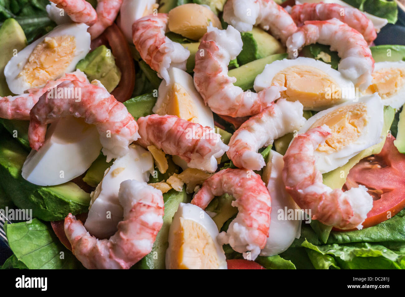 Fresh salad with British Colombia spot prawsn, hardboiled egg, avocado ...