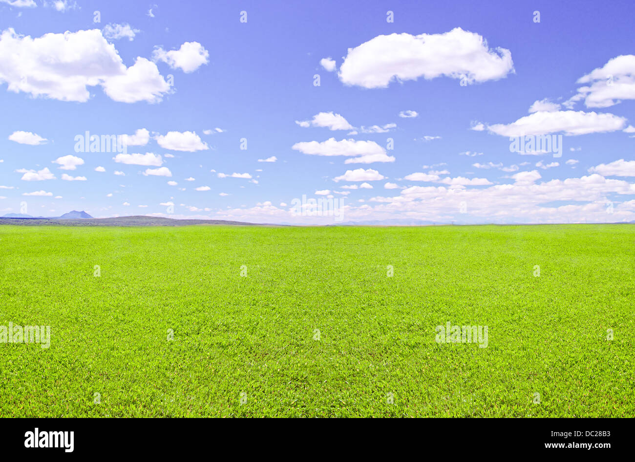 Green field with blue sky and clouds Stock Photo - Alamy