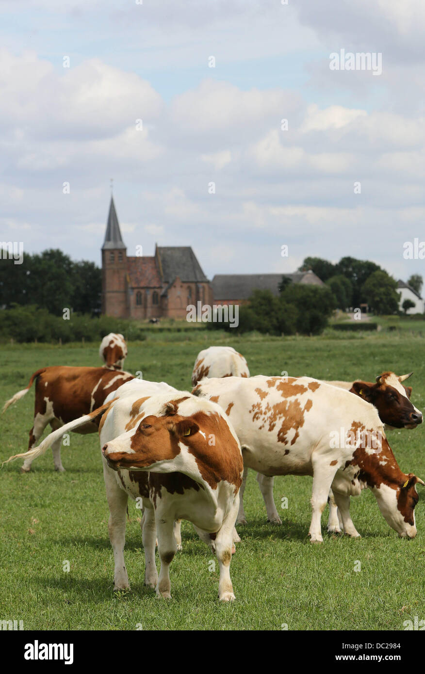 Barns and cows hi-res stock photography and images - Alamy
