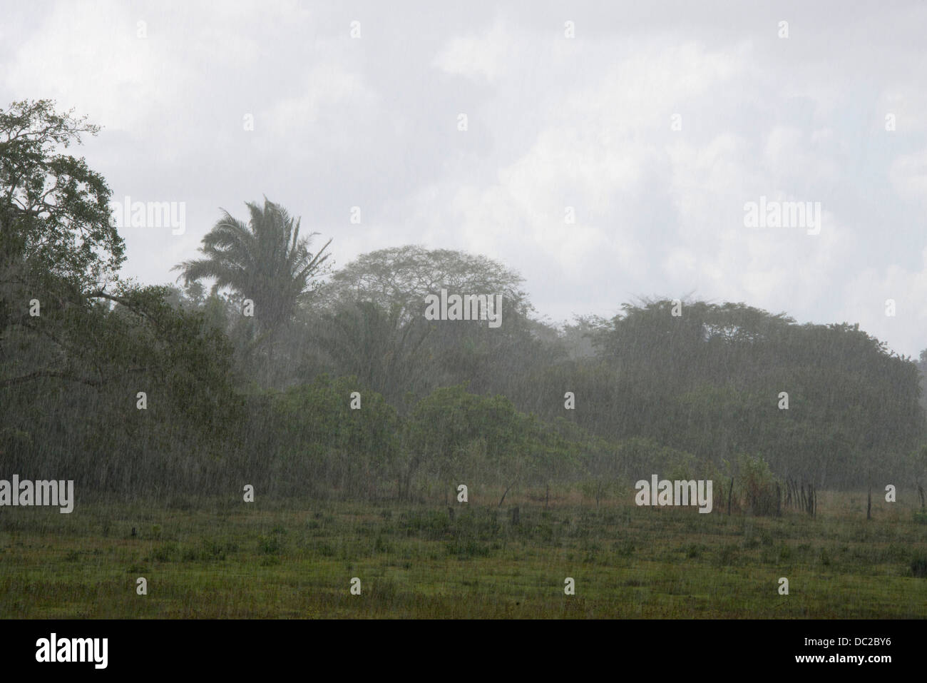 Belize, Crooked Tree Wildlife Sanctuary. Sub-tropical rain storm Stock ...