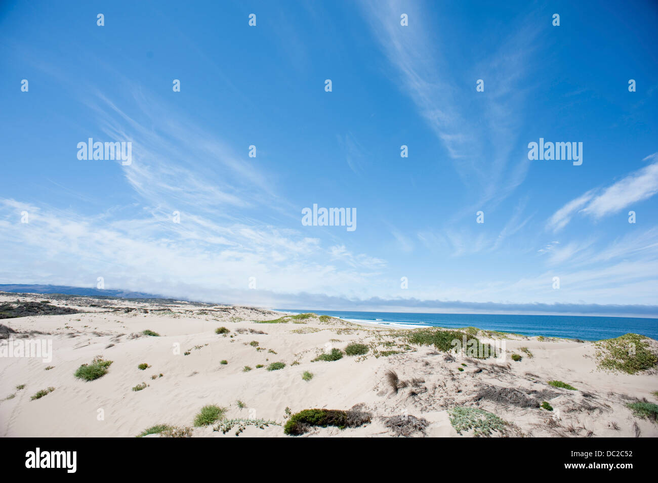 Beach sand dunes california hi-res stock photography and images - Alamy