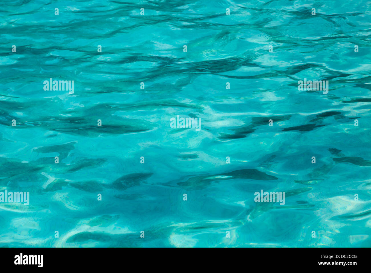 A close up of a swimming pool with soft ripples in the water Stock ...