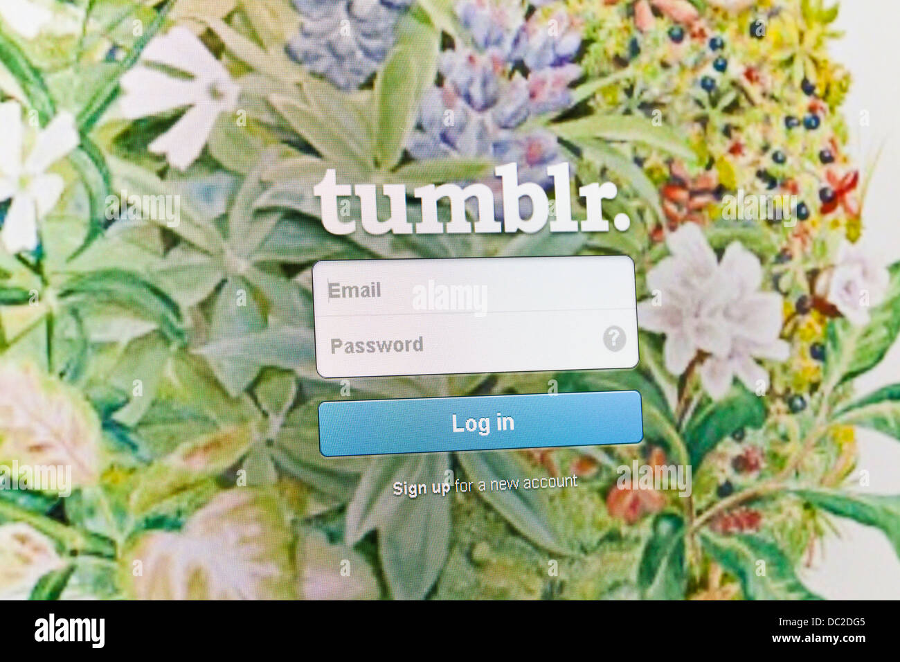 Tumblr hi-res stock photography and images - Alamy