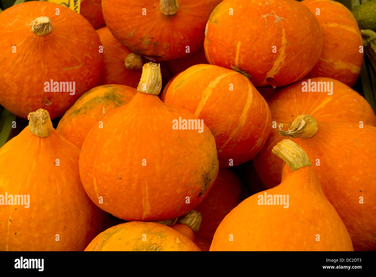 Round orange pumpkins hi-res stock photography and images - Alamy