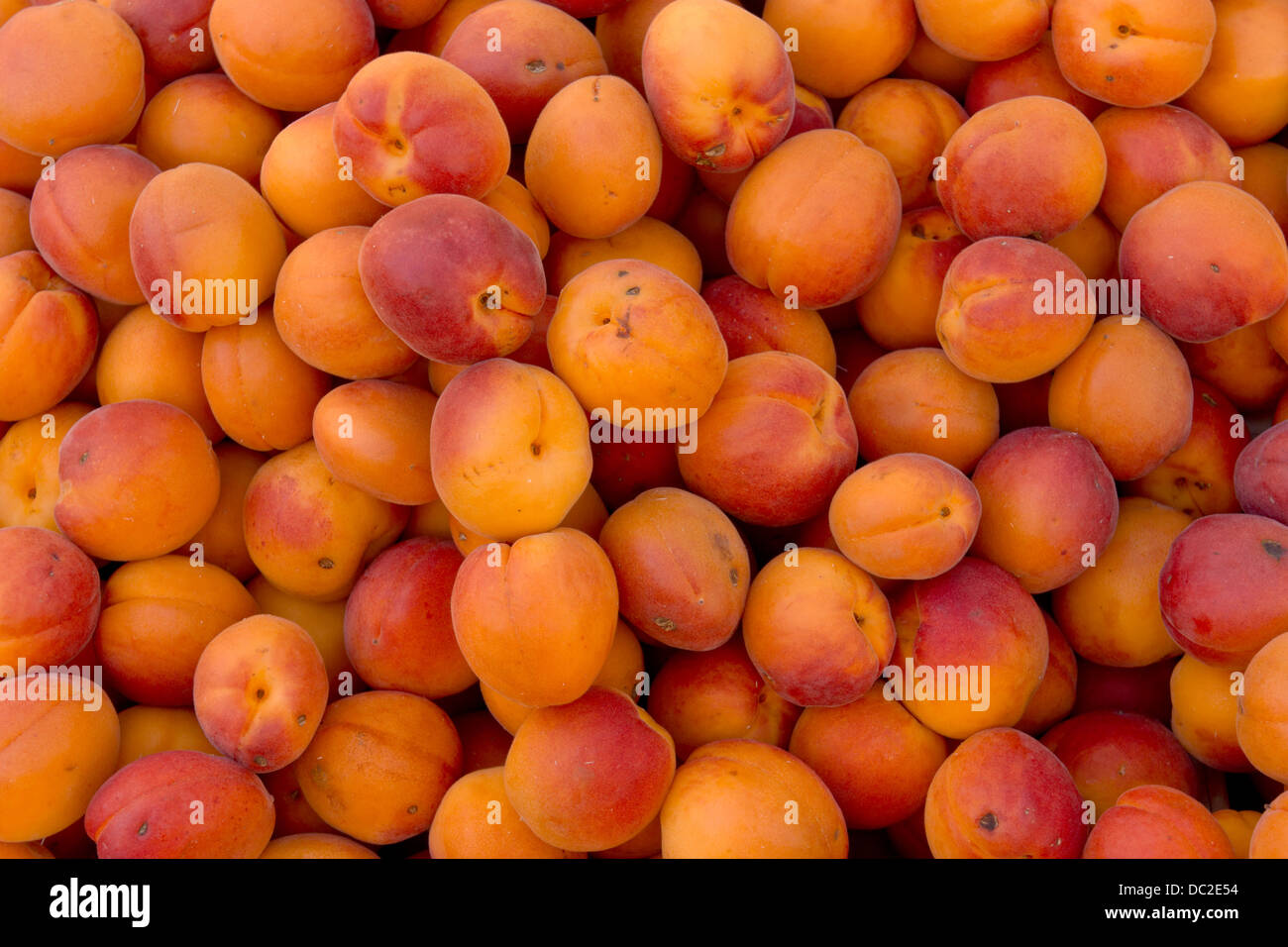 Background of ripe orange organic apricots Stock Photo - Alamy
