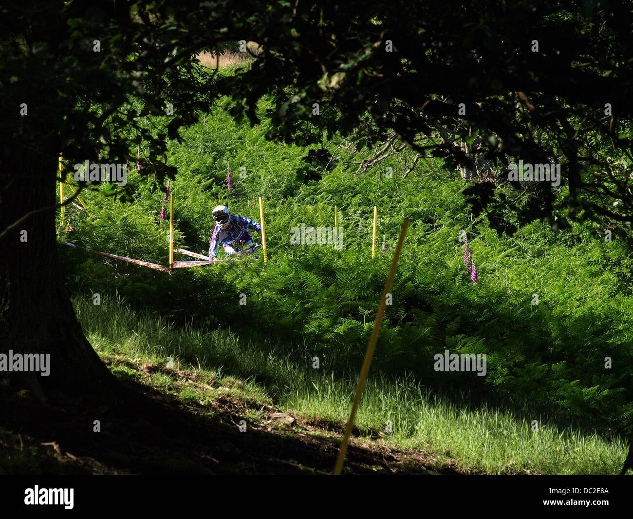 Grass overgrown track hi-res stock photography and images - Alamy