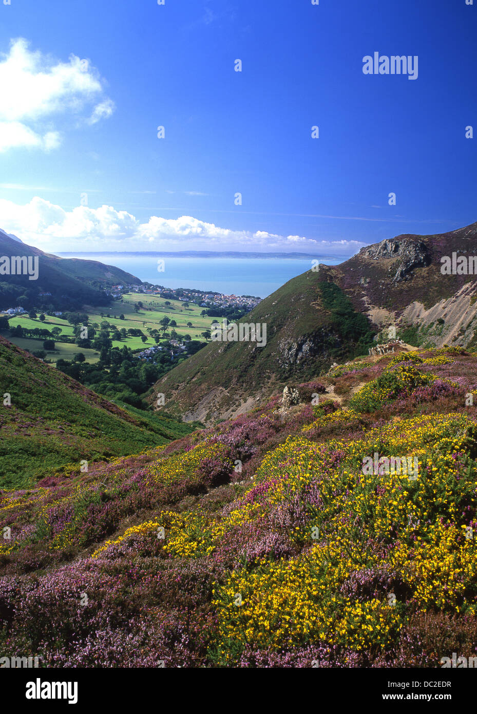 Sychnant Pass in summer with heather in foreground and view down valley ...