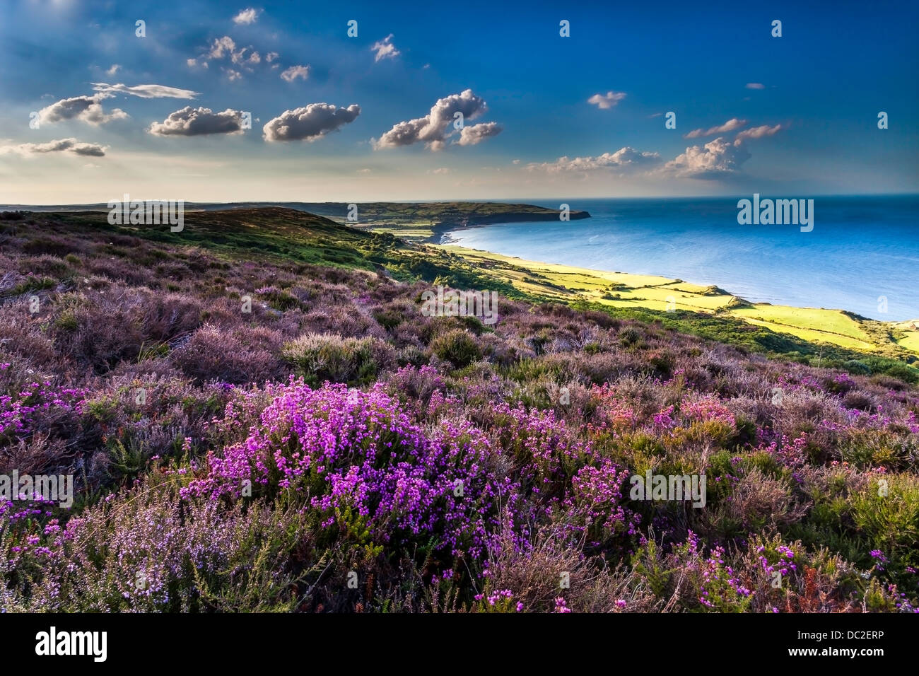 Ravenscar North York Moors showing coast line to robin hoods bay and ...