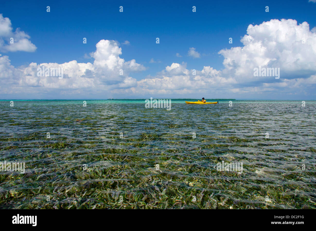 Belize, Caribbean Sea, Southwater Cay. Kayaking in the clear waters off ...