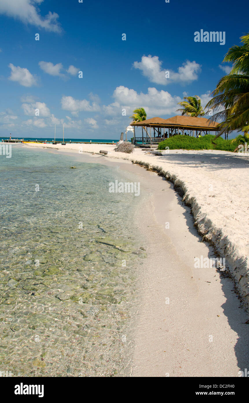 Belize, Caribbean Sea, Goff Caye. A small island off the shore of ...