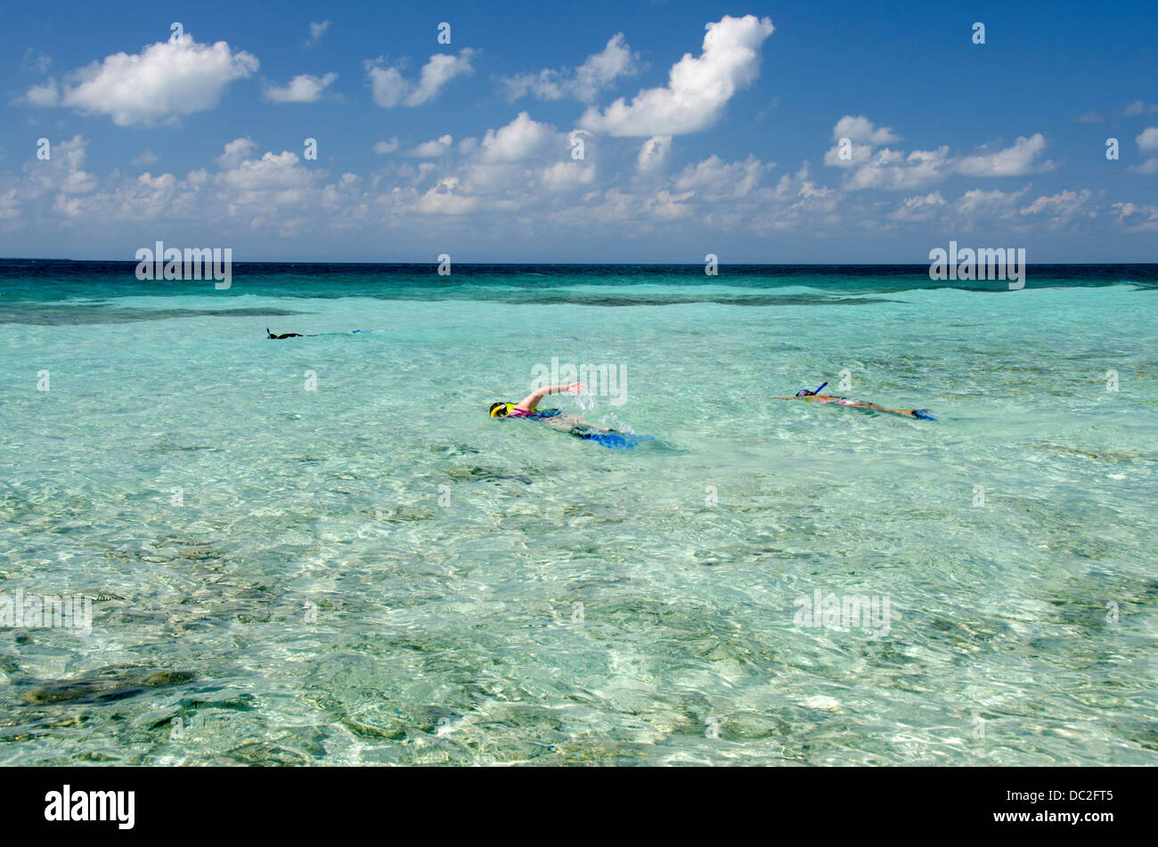 Belize, Caribbean Sea, Goff Caye. UNESCO. Snorkeling off the coast of ...