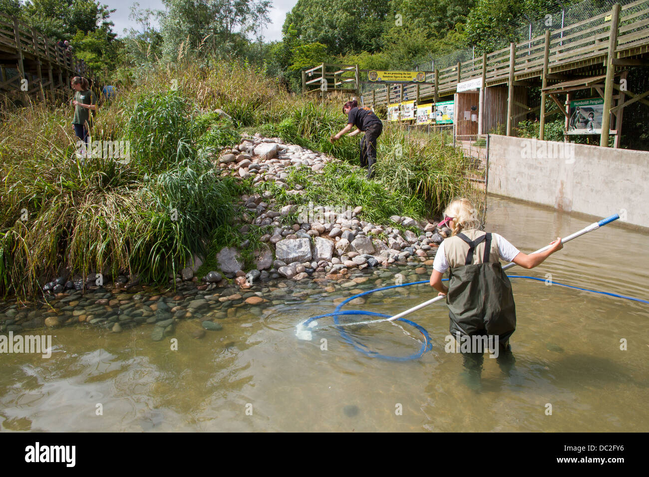 Zoo keeper cleaning hi-res stock photography and images - Alamy