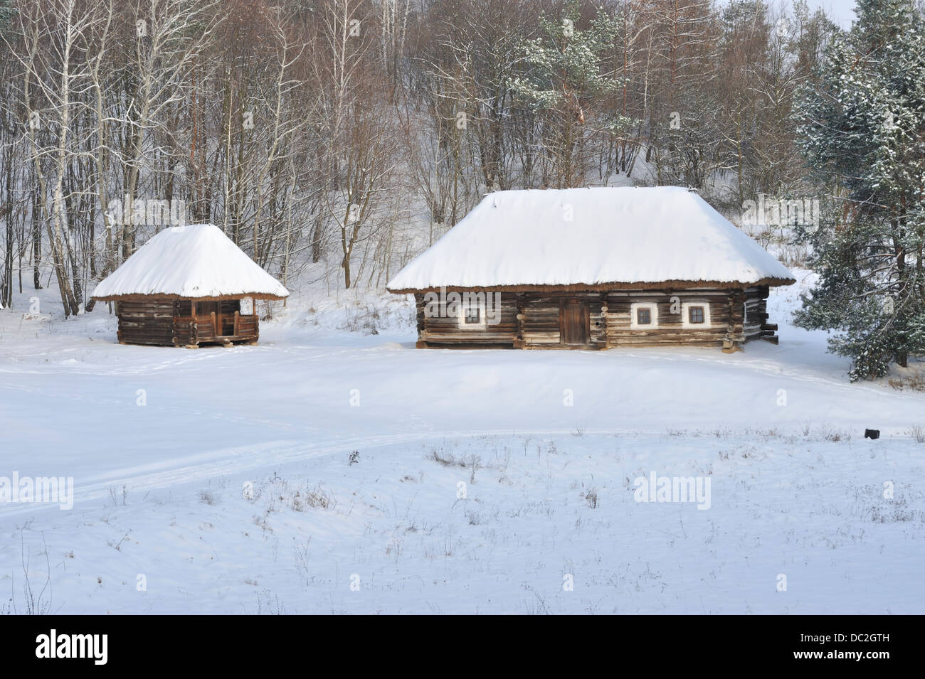 Traditional wooden house in the open air Museum of Folk Architecture ...