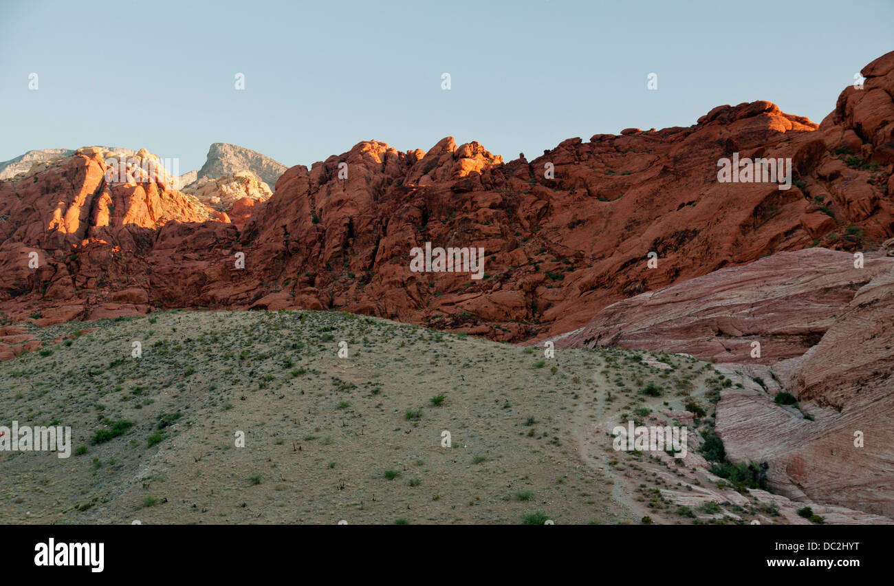 Nca hi-res stock photography and images - Alamy