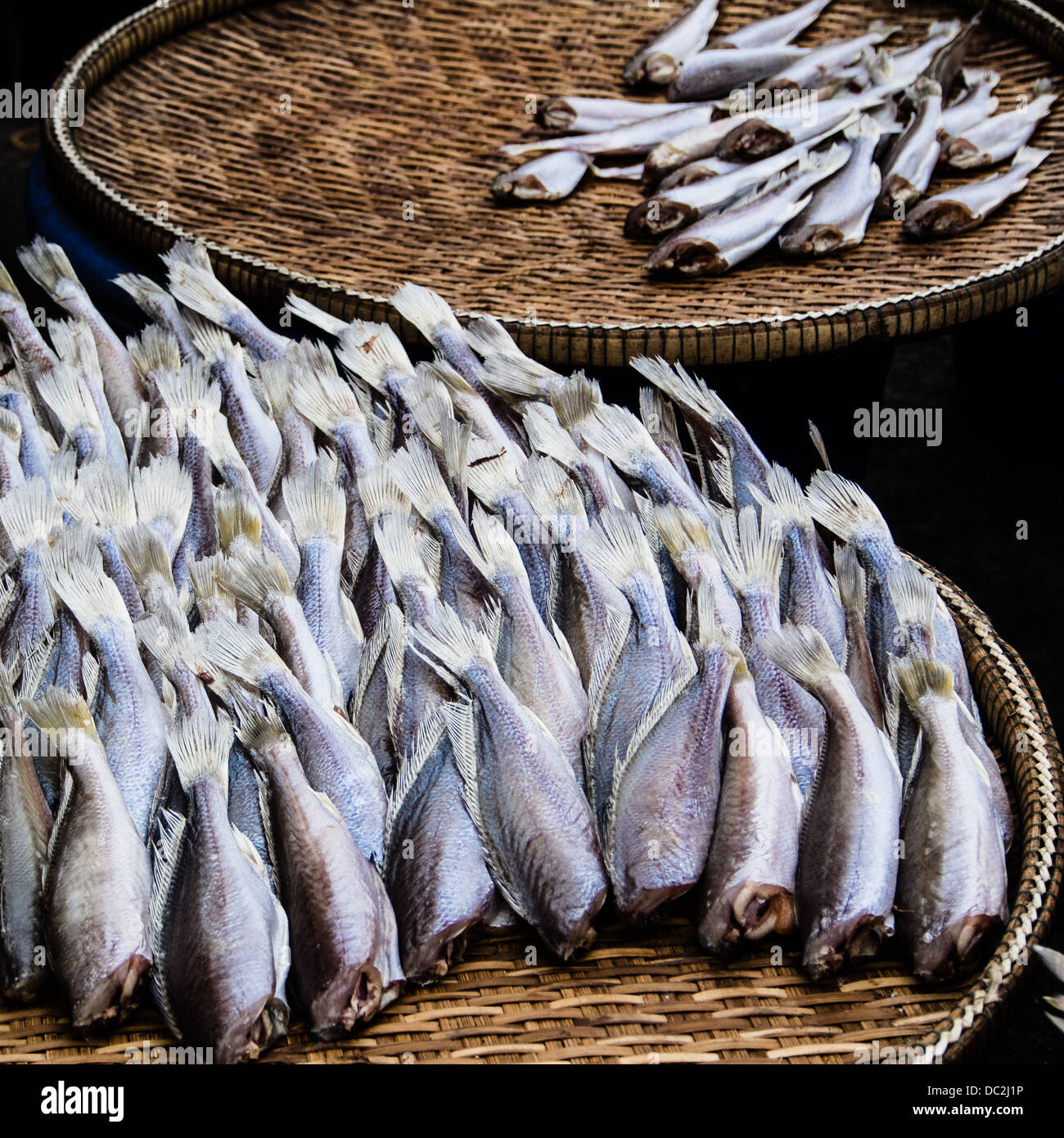 Aquaculture fishing industry thailand hi-res stock photography and ...