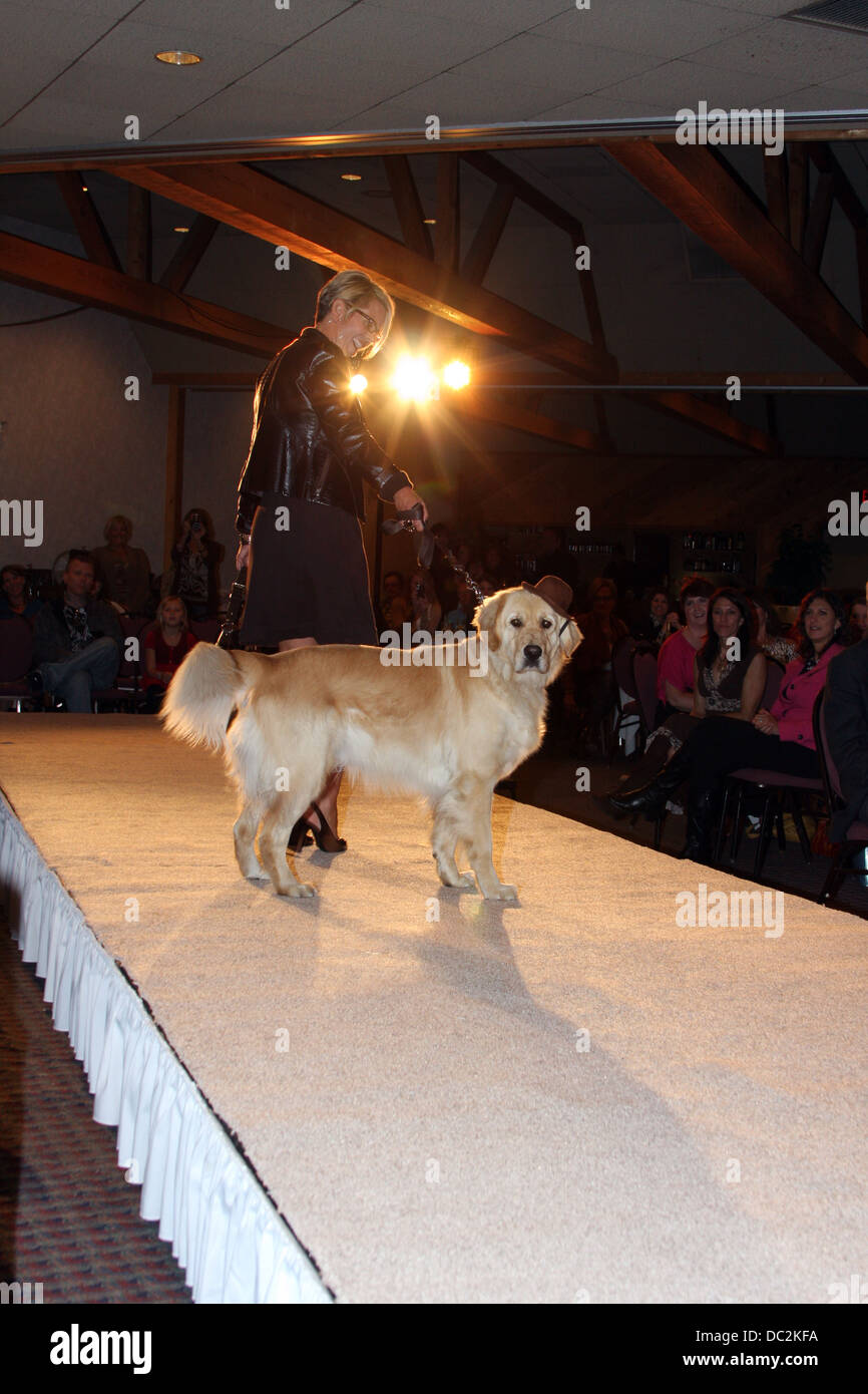 A model on the runway with a dog with a top hat Stock Photo - Alamy