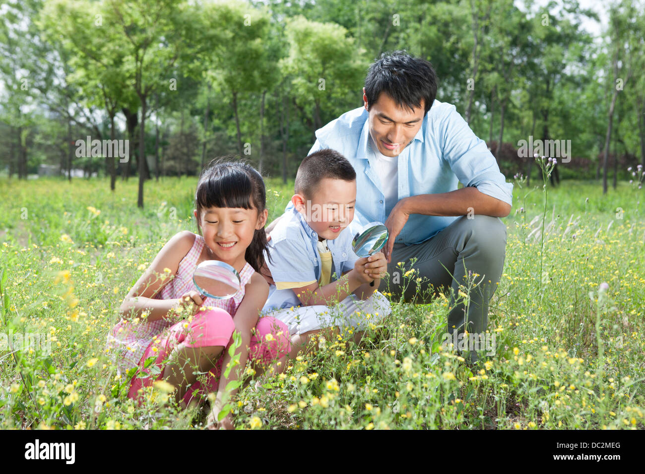 Checking family tree hi-res stock photography and images - Alamy