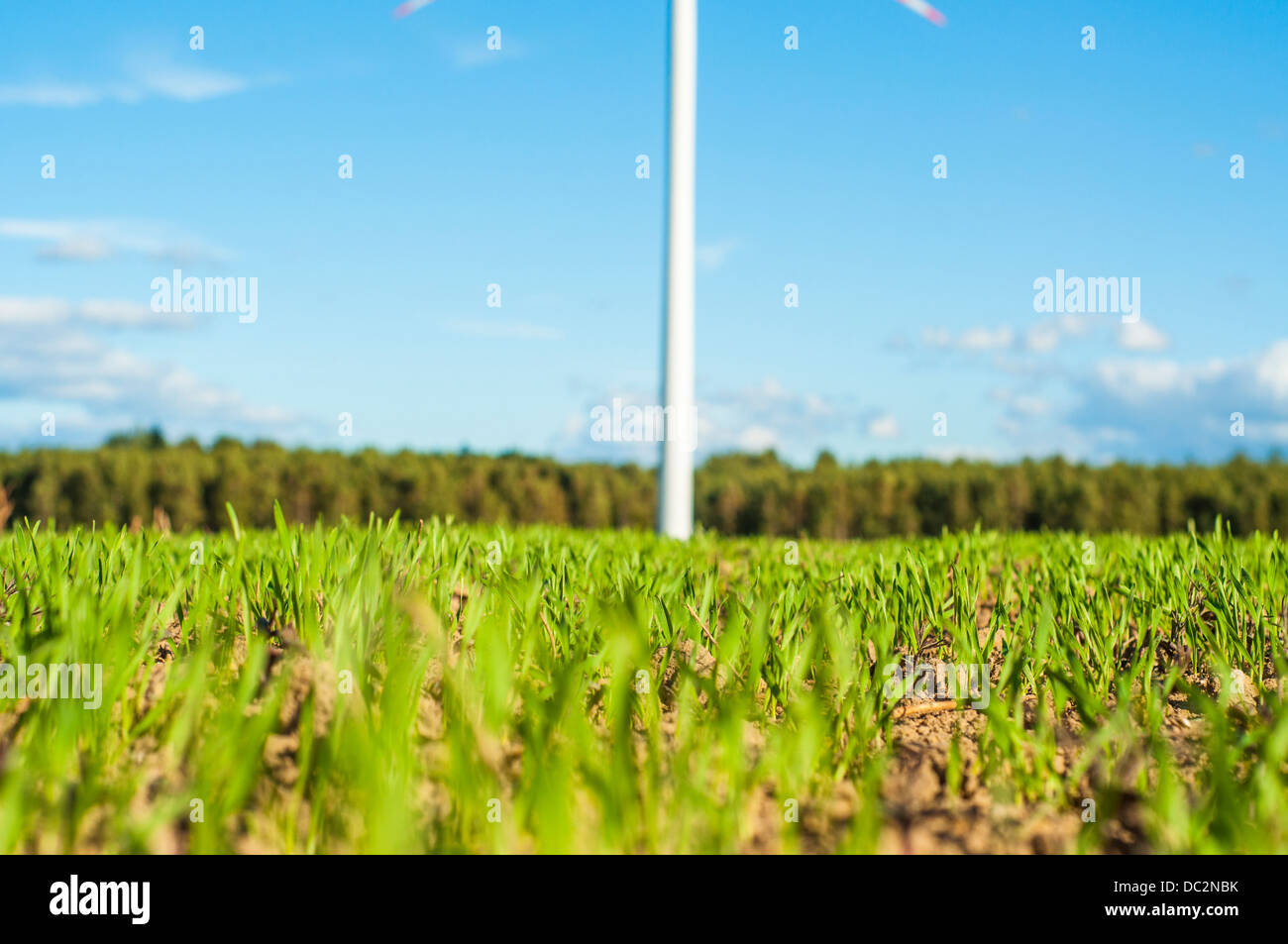 Imagee hi-res stock photography and images - Alamy