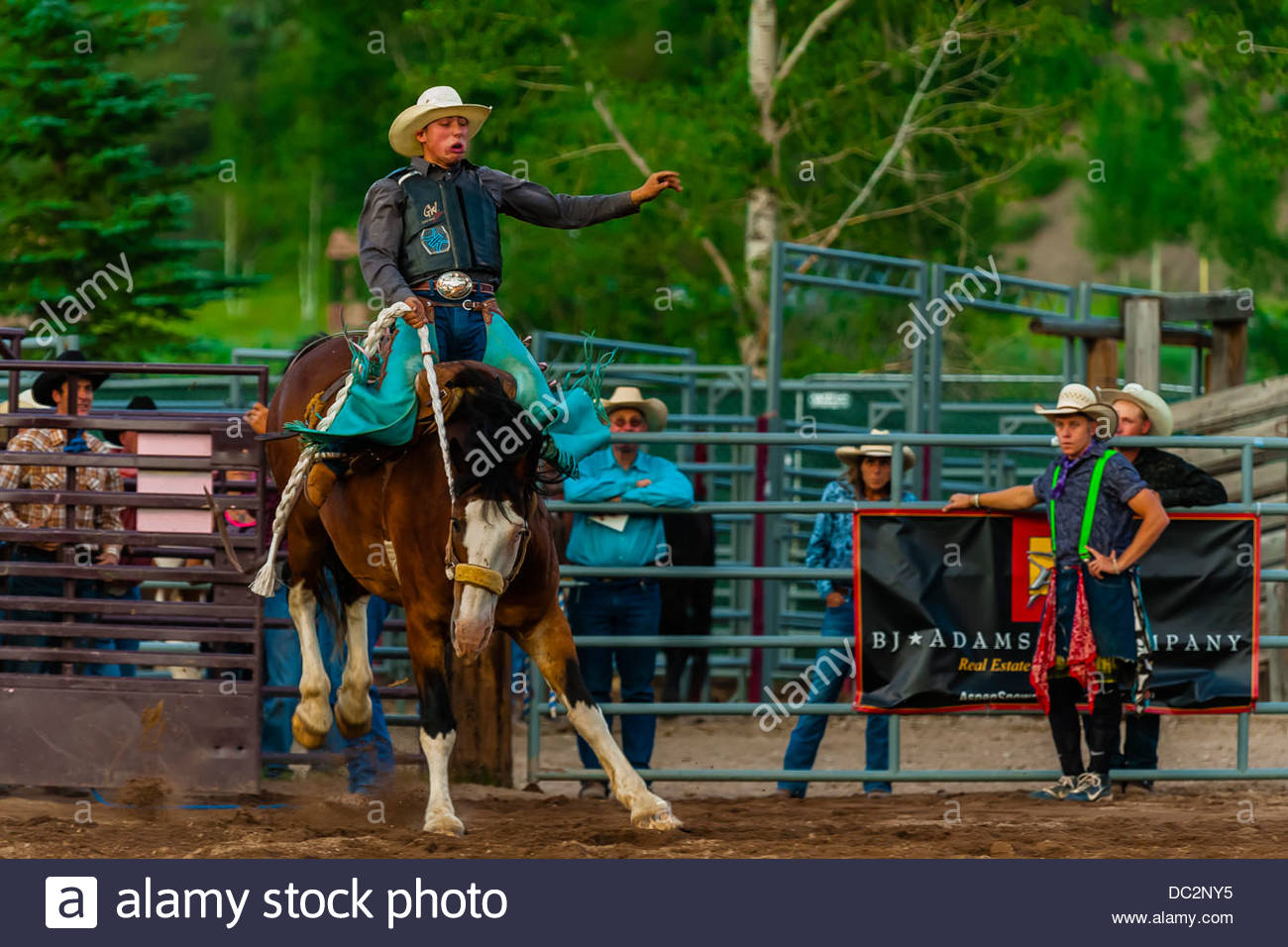 Saddle Bronc Riding Stock Photos & Saddle Bronc Riding Stock Images - Alamy