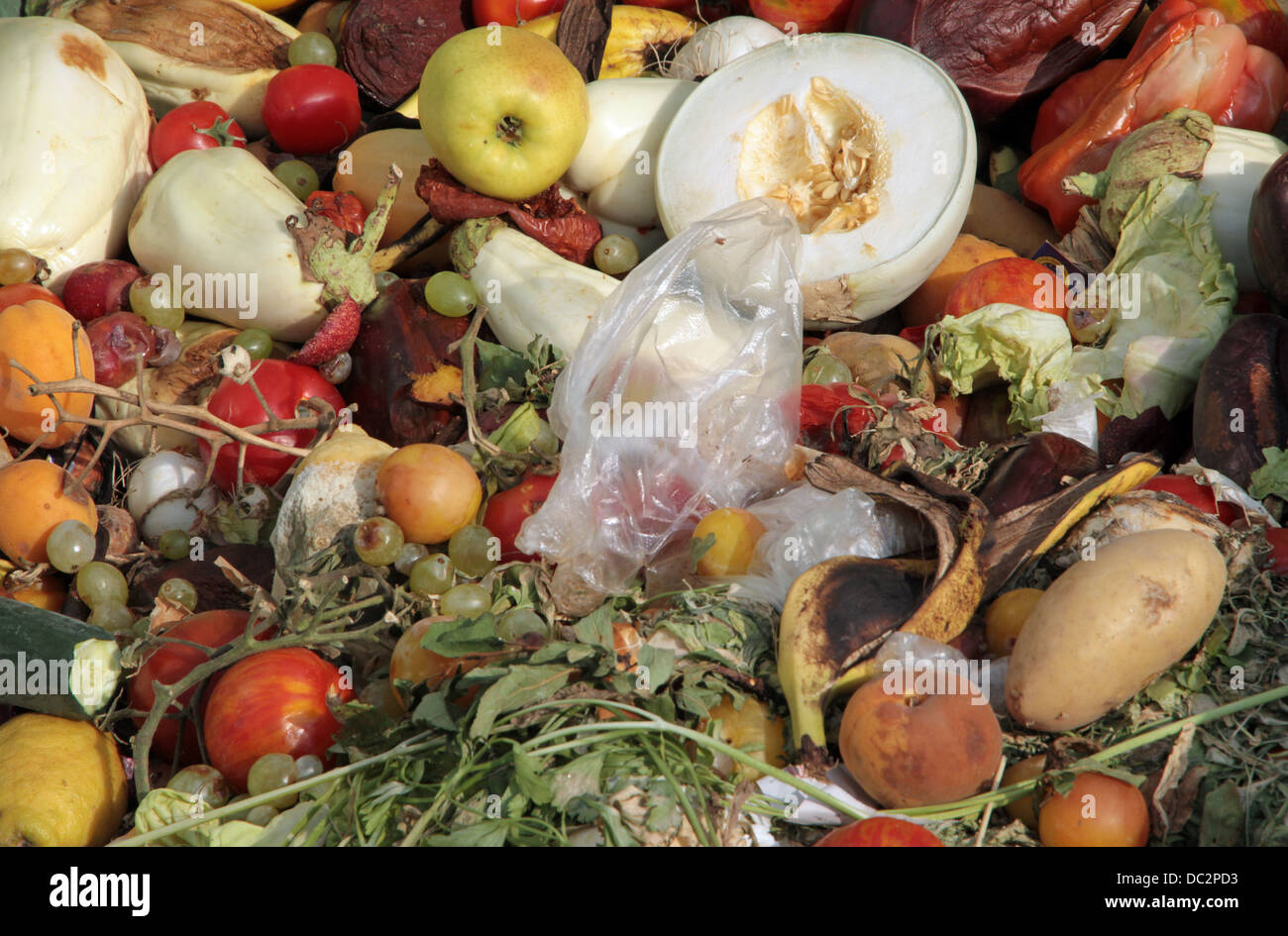 scraps of rotten fruit and vegetables used as manure in an agricultural ...