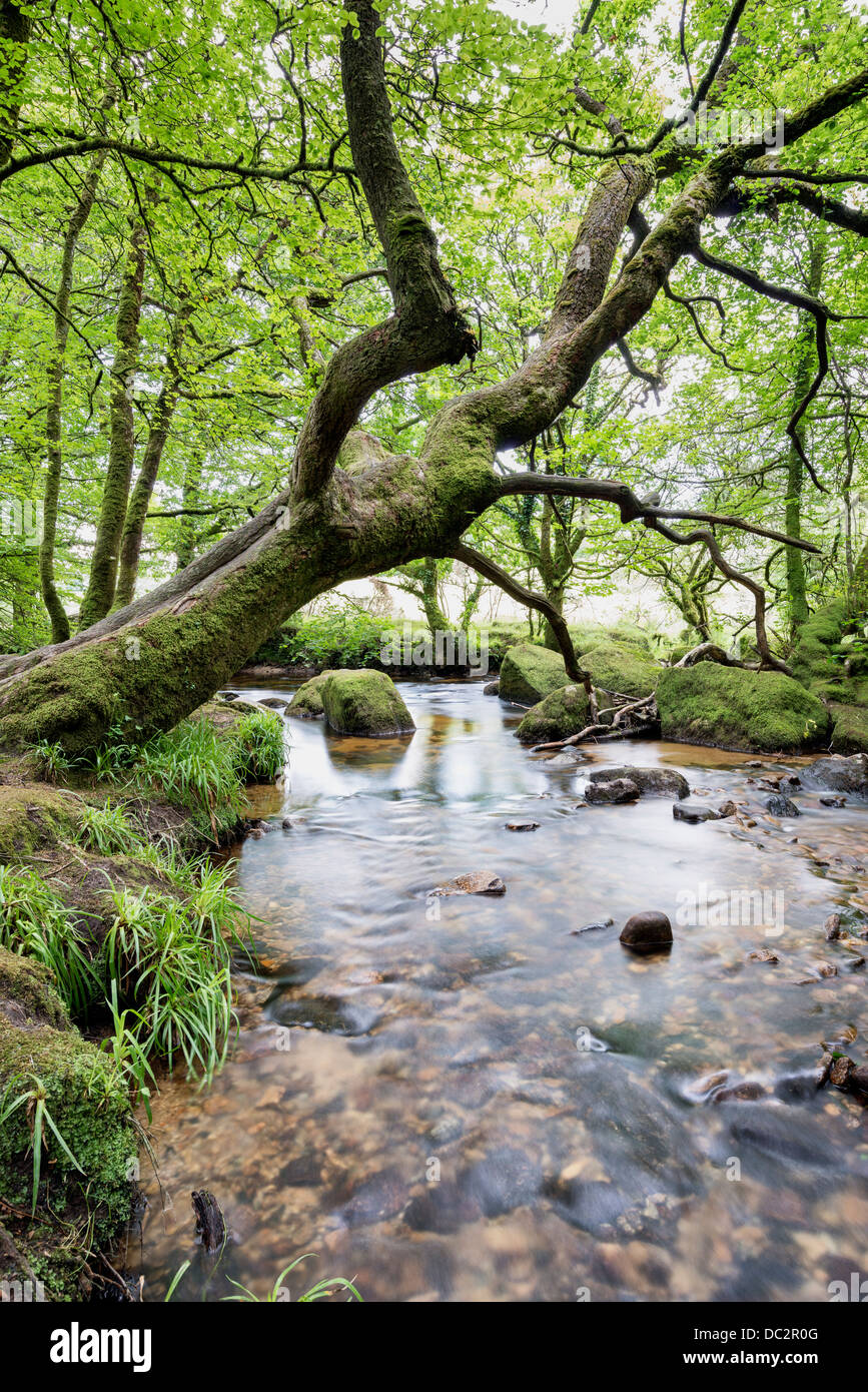 Fast river bodmin hi-res stock photography and images - Alamy