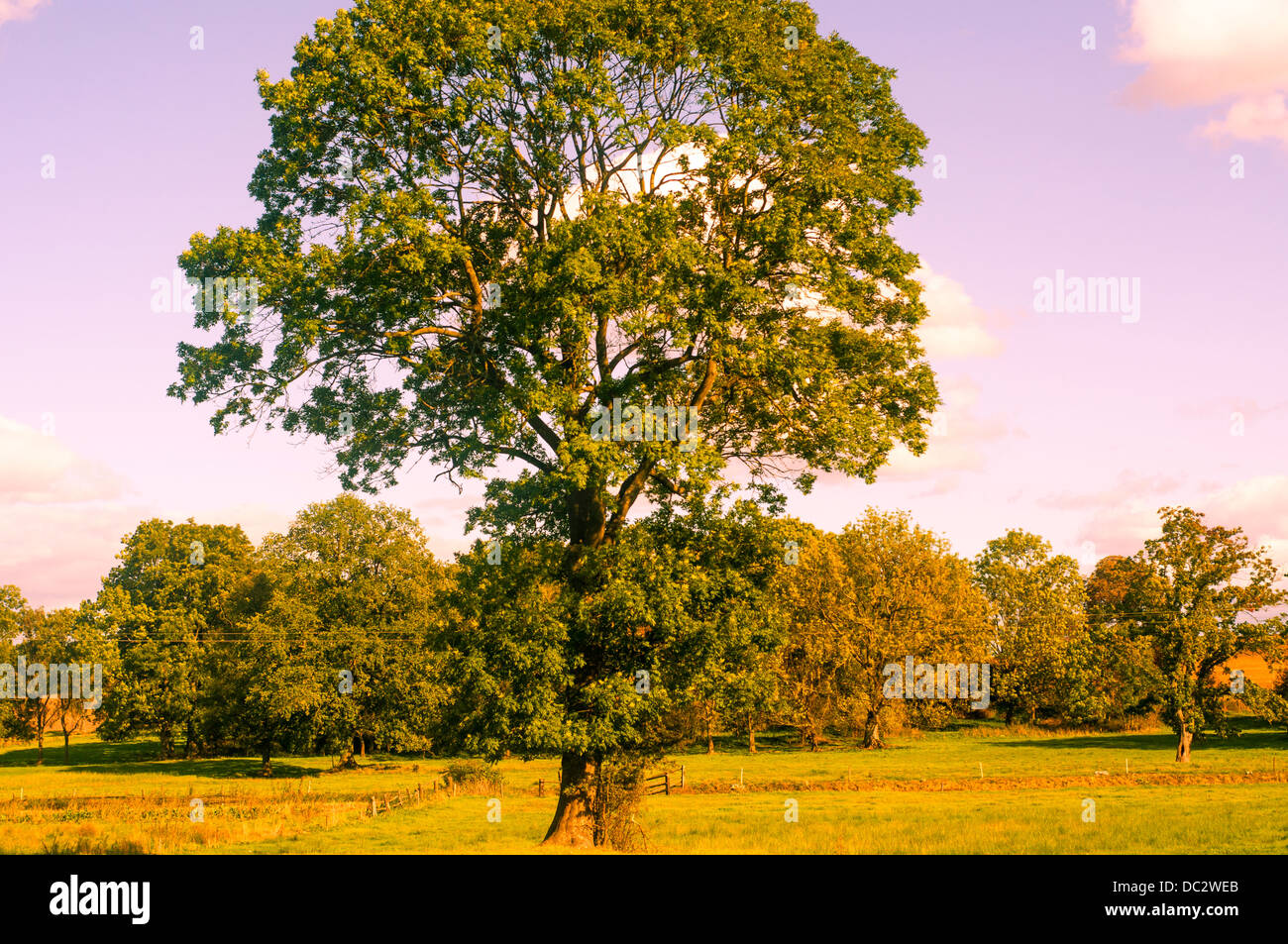 An image of landscape on late summer Stock Photo - Alamy