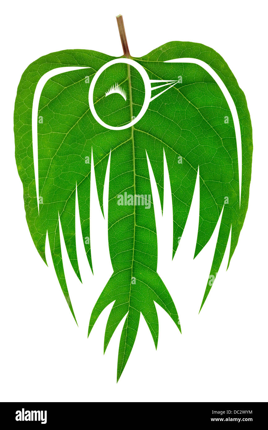 Dead green bird collage concept made from leaf. Isolated Stock Photo ...