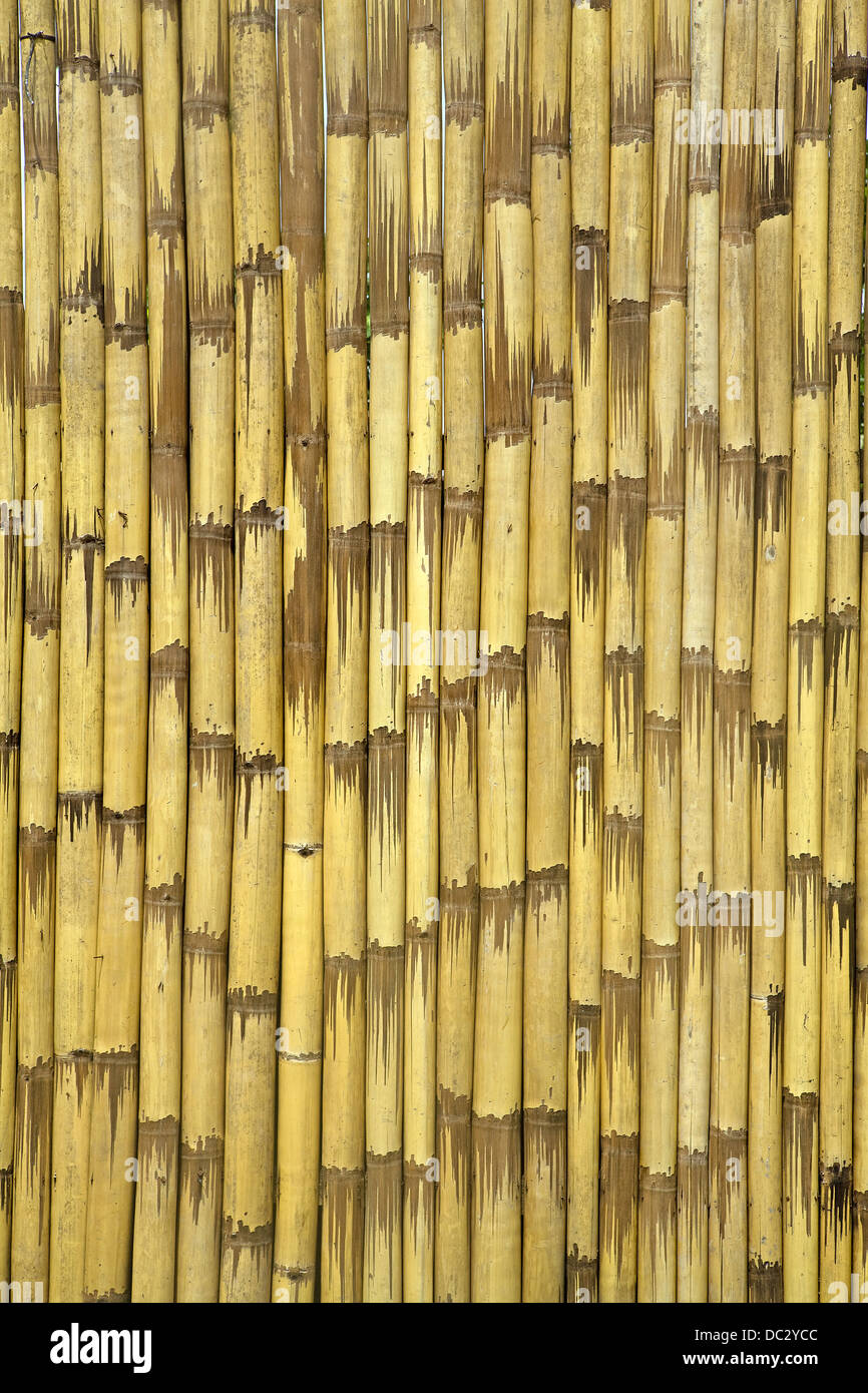 Abstract background of vertical, yellow bamboo strips Stock Photo - Alamy