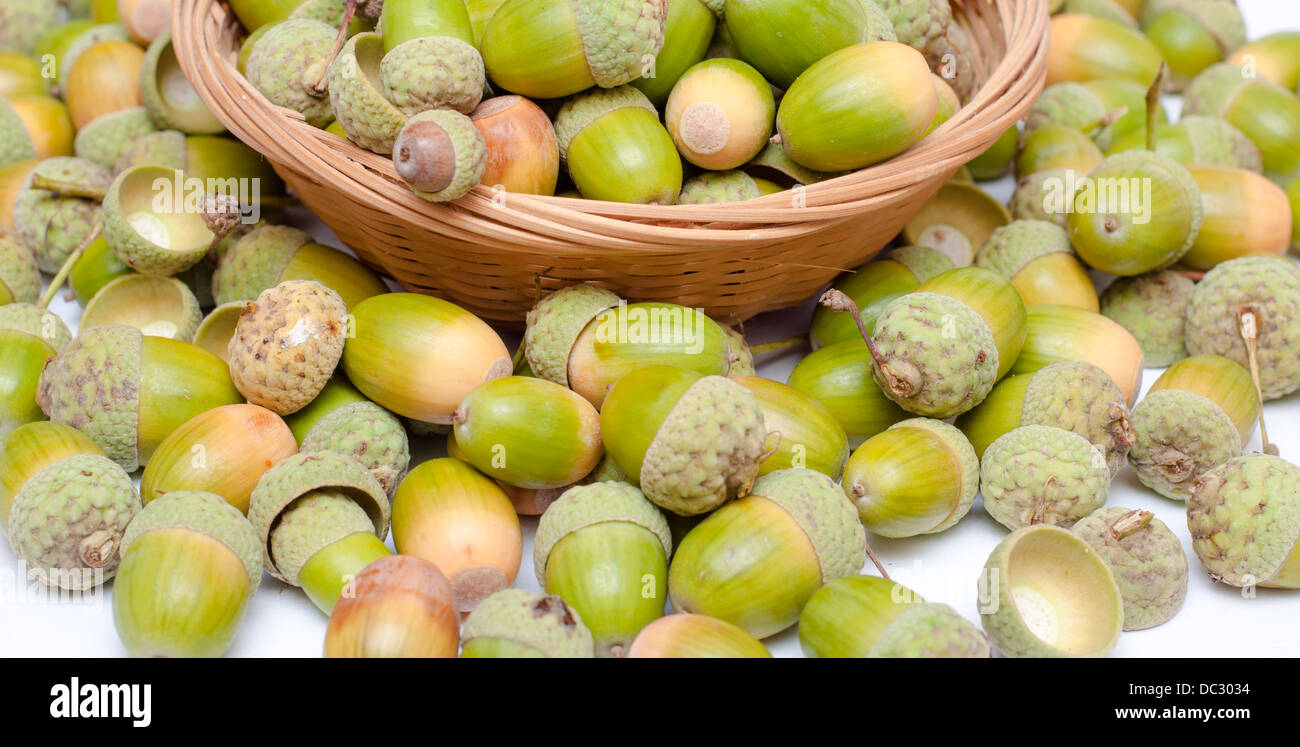 An image of haycorns Stock Photo - Alamy