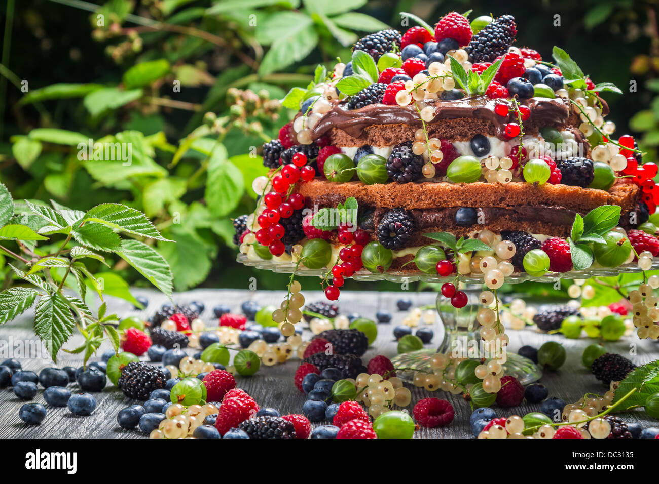 Cake wild fresh berry fruits in forest Stock Photo - Alamy